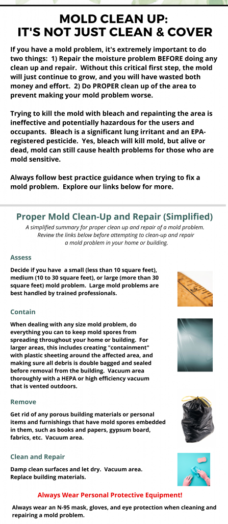 Mold Clean-Up: It's Not Clean and Cover - Maine Indoor Air Quality Council