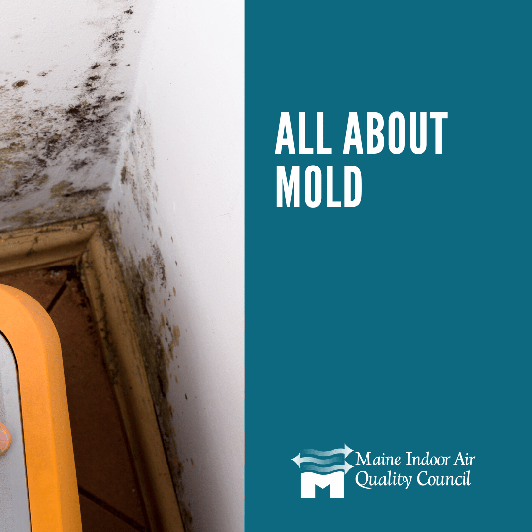 IAQ at Home - Maine Indoor Air Quality Council